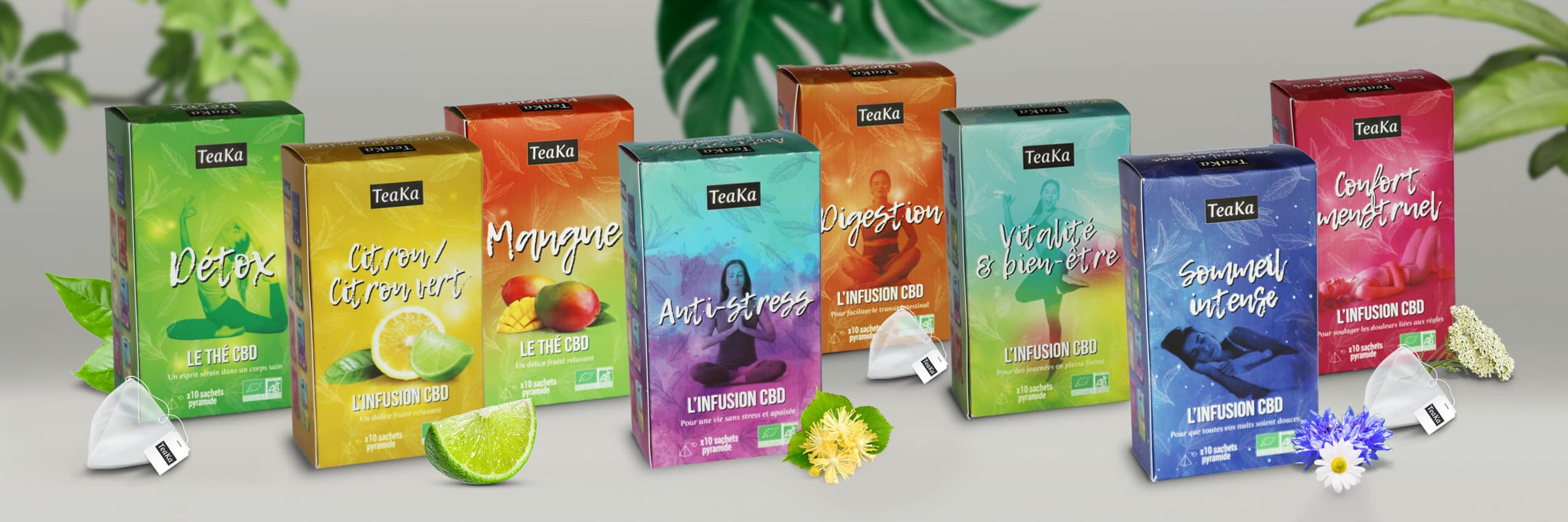 Cane Distribution - Etick · Keat's · Teaka